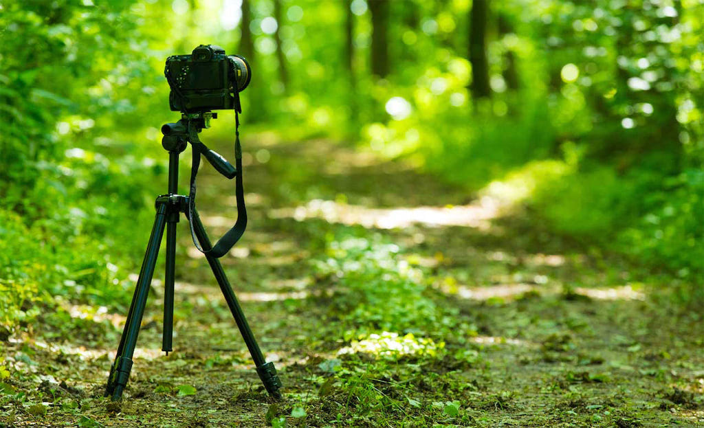 Smart camera tripod ideas | RCS - RCS Group